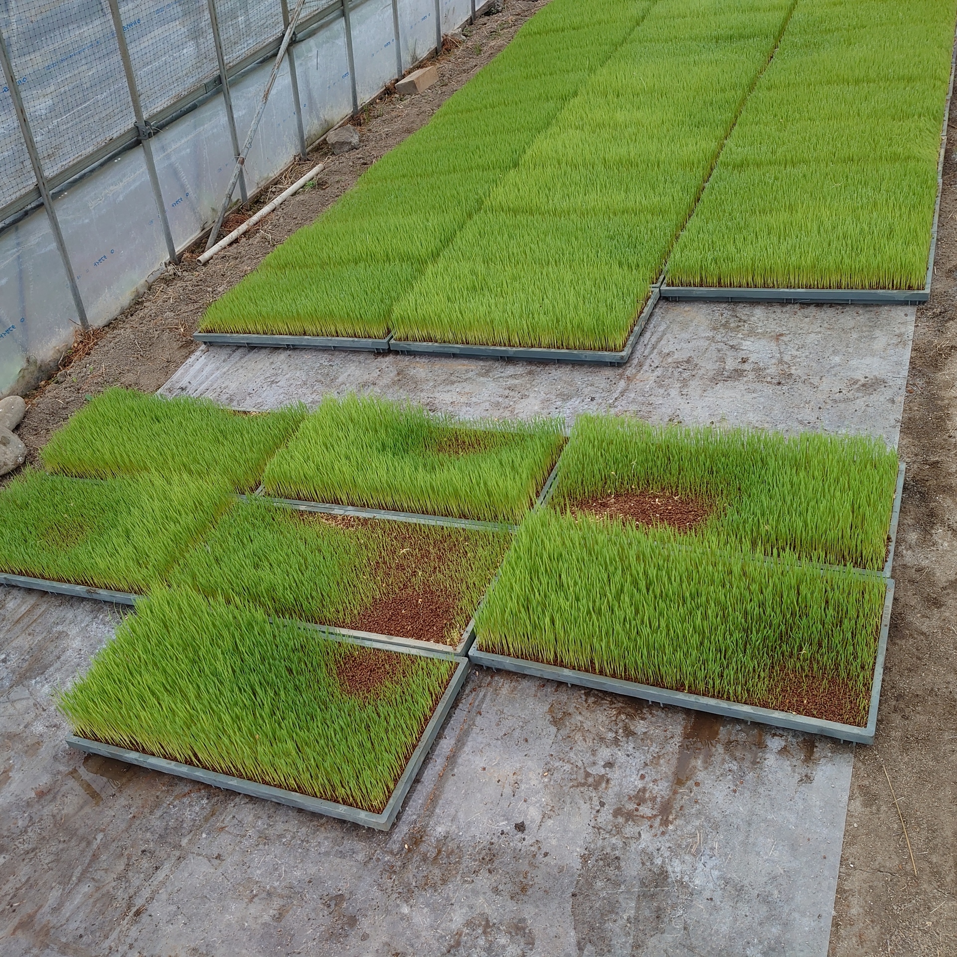 油断も隙もない: きままな時間